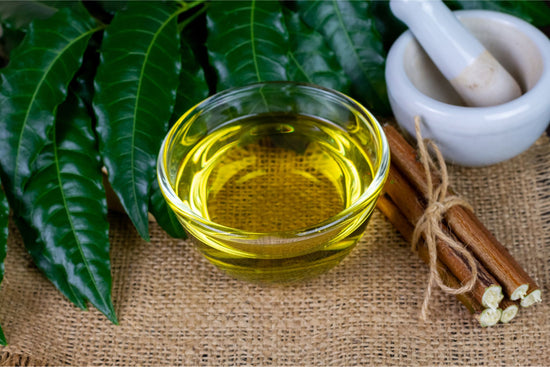 Thripse erkennen, bekämpfen, vorbeugen: Ein umfassender Leitfaden