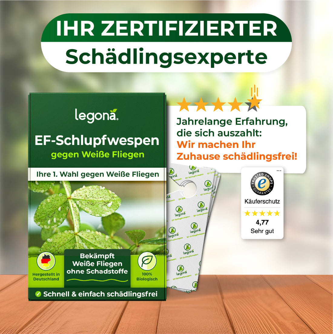 Elegantes Was Hilft Gegen Weiãÿe Fliege Bild