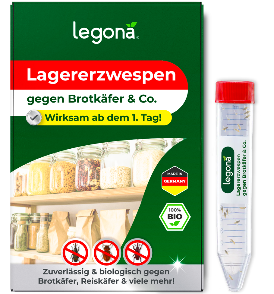 Lagererzwespen gegen Brotkäfer, Reiskäfer & Tabakkäfer | Legona