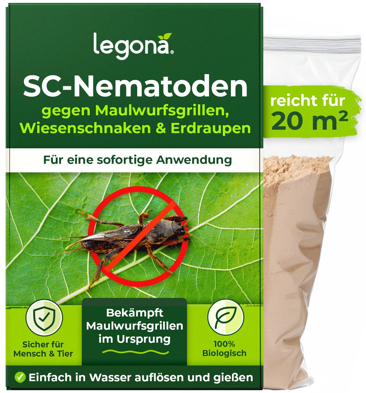So wird man Maulwurfsgrillen im Garten wieder los - Legona-DE