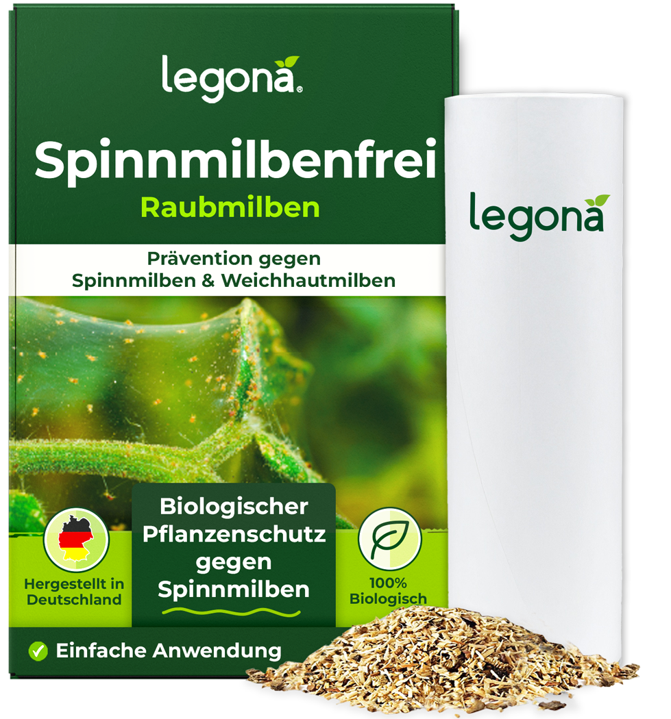 Raubmilben gegen Spinnmilben - Legona®