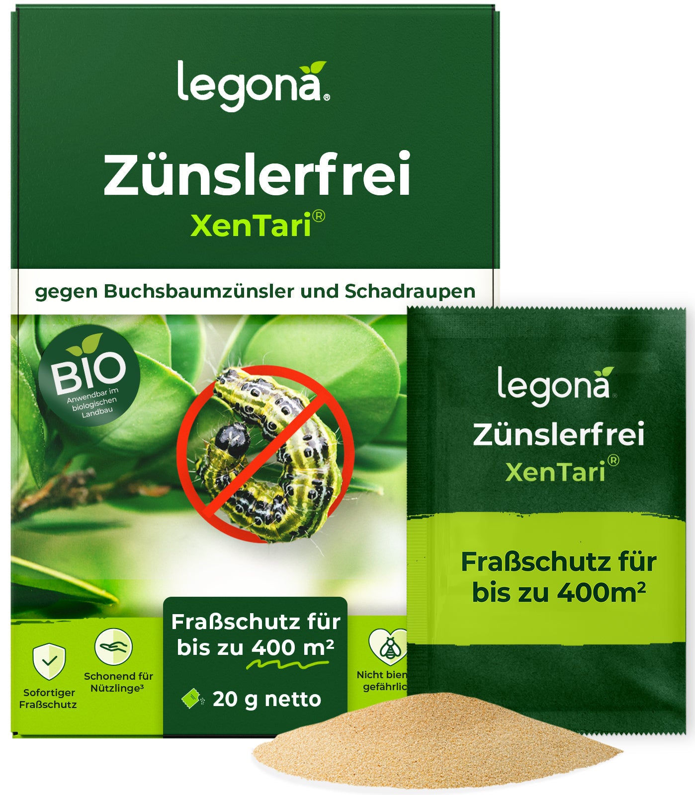 Buchsbaumzünsler – der Schädling aus Asien - Legona-DE