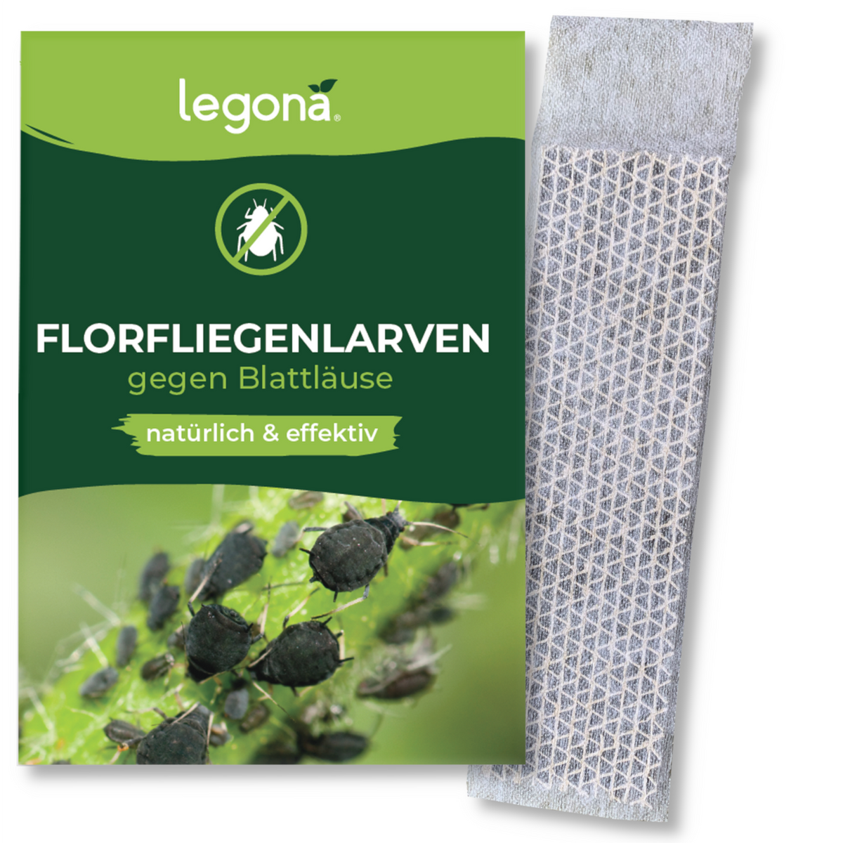 Thripse erkennen, bekämpfen, vorbeugen: Ein umfassender Leitfaden