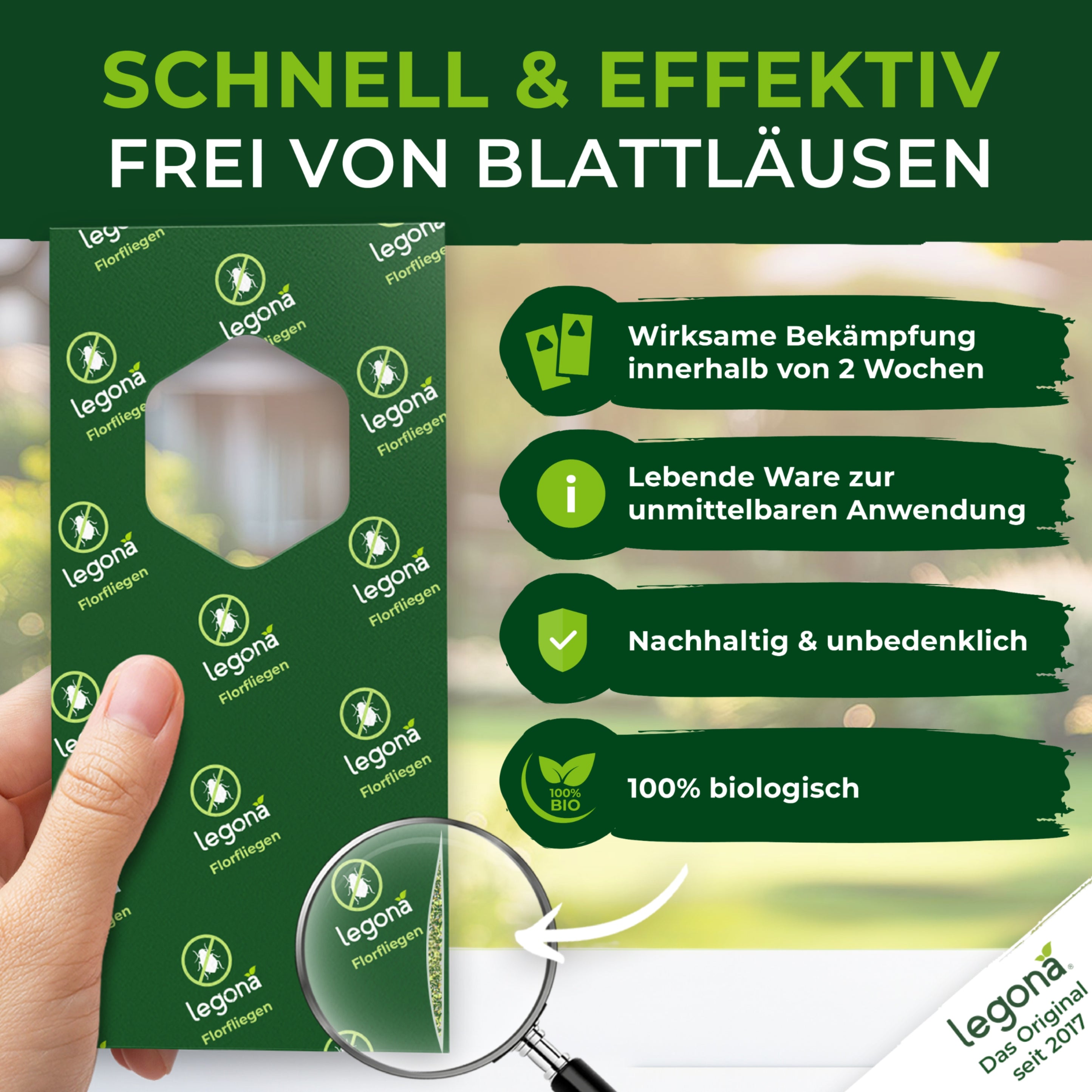 Wolläuse erkennen und bekämpfen - ein umfassender Ratgeber