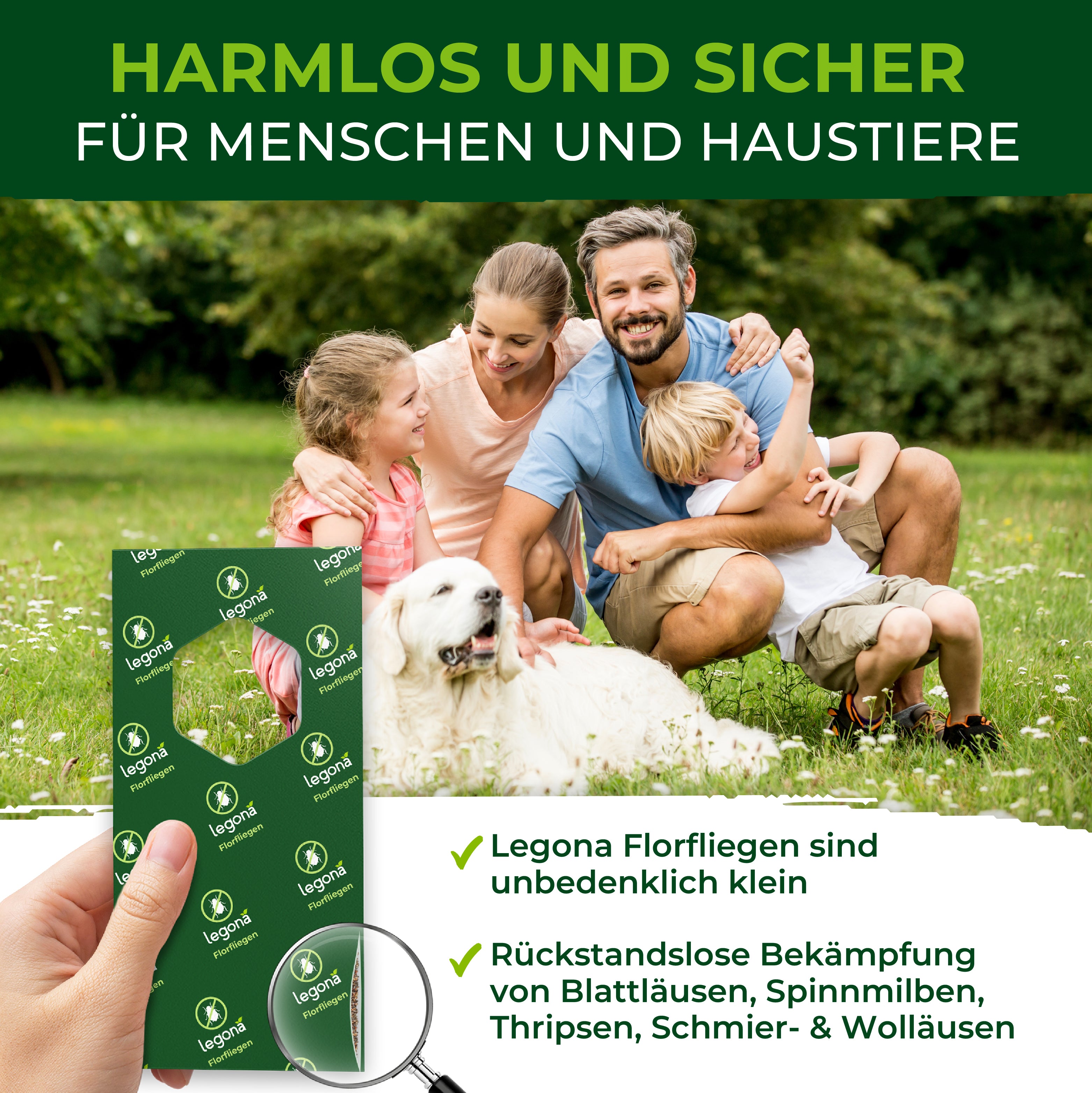 Thripse erkennen, bekämpfen, vorbeugen: Ein umfassender Leitfaden