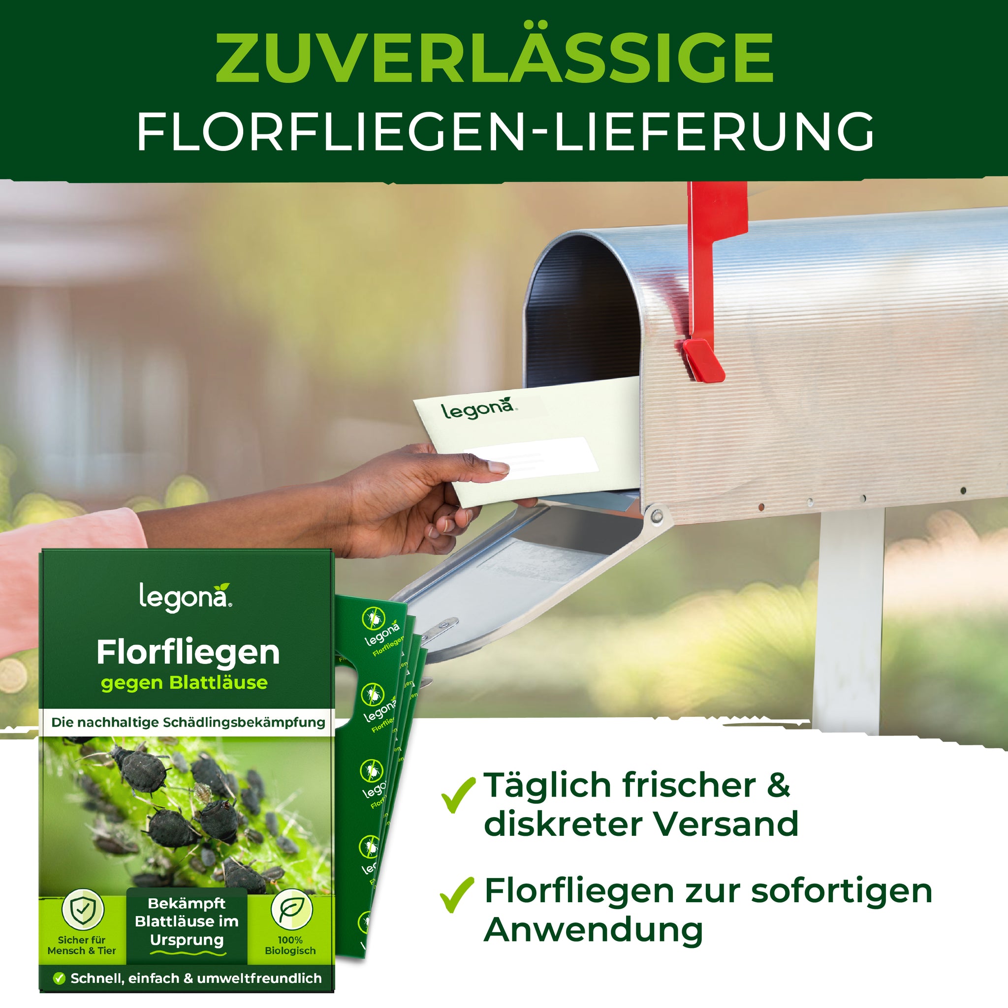 Wolläuse erkennen und bekämpfen - ein umfassender Ratgeber