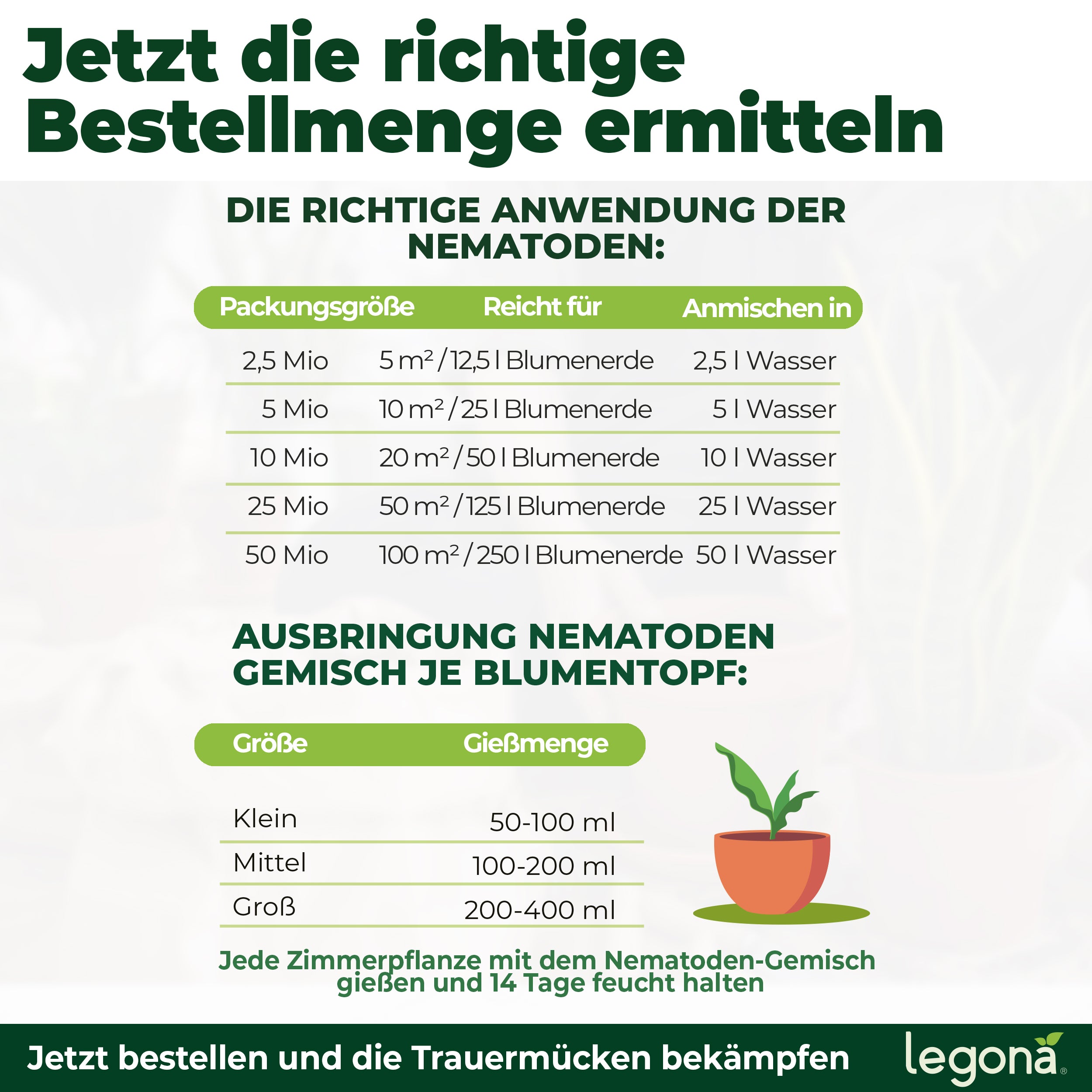 Was Tun Gegen Trauermucken